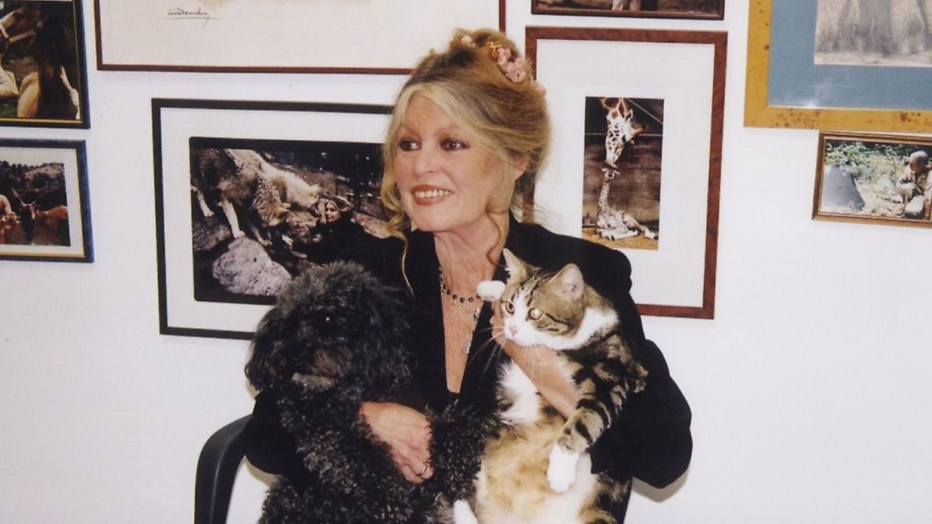 Find out the story of French icon Brigitte Bardot - Complete France