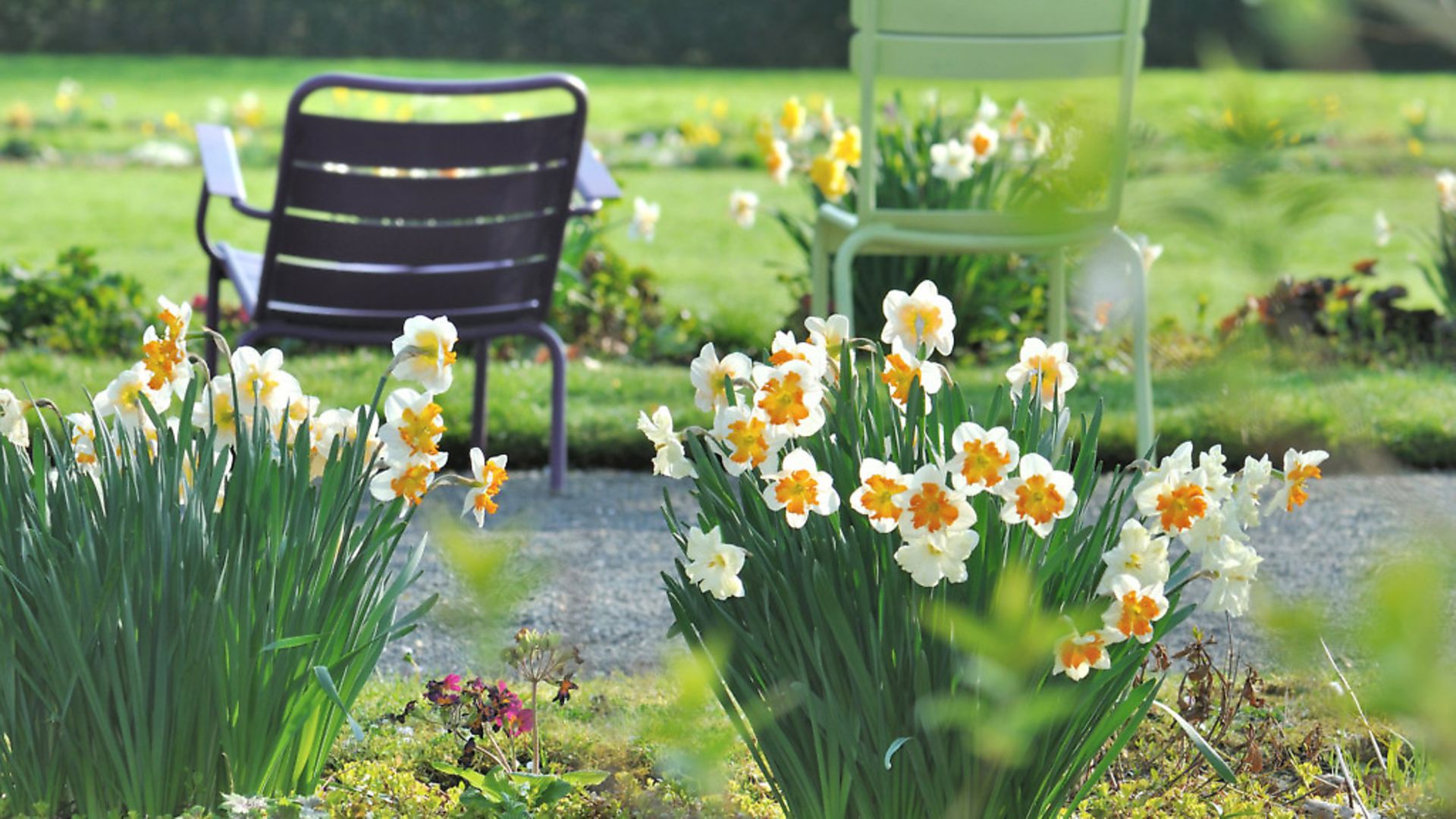 France looks absolutely beautiful in spring - Complete France