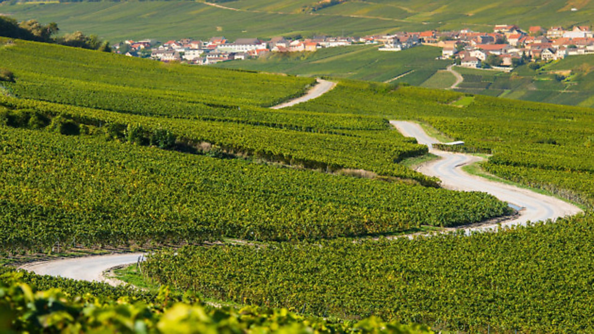Road trip: explore Champagne country - Complete France