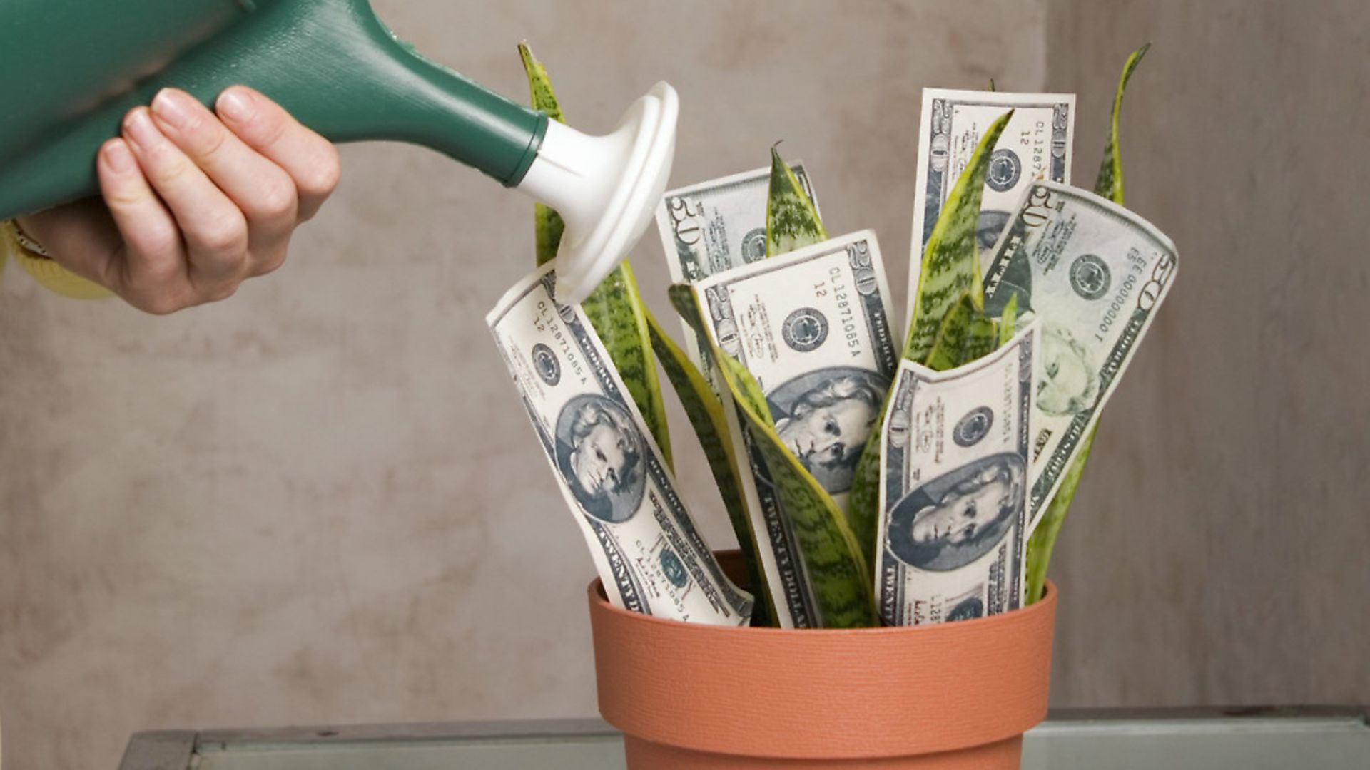 Essential tips to increase returns on your investments - Complete France