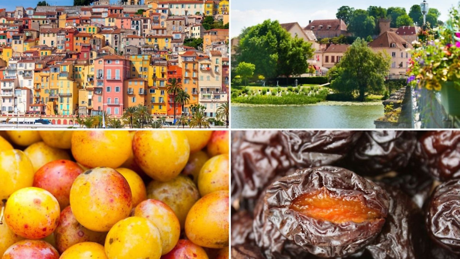 Regions of France: Iconic French fruit and where they grow - Complete ...