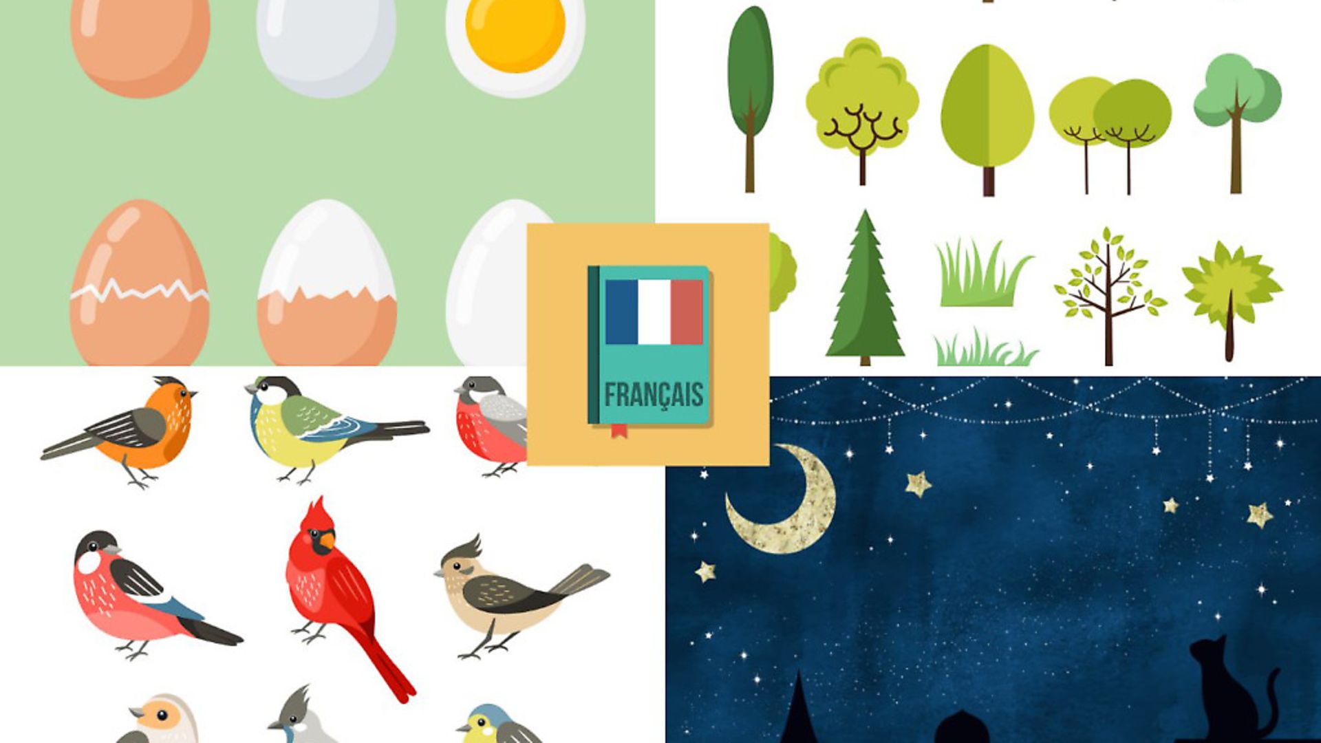 21 French proverbs and sayings to learn - Complete France