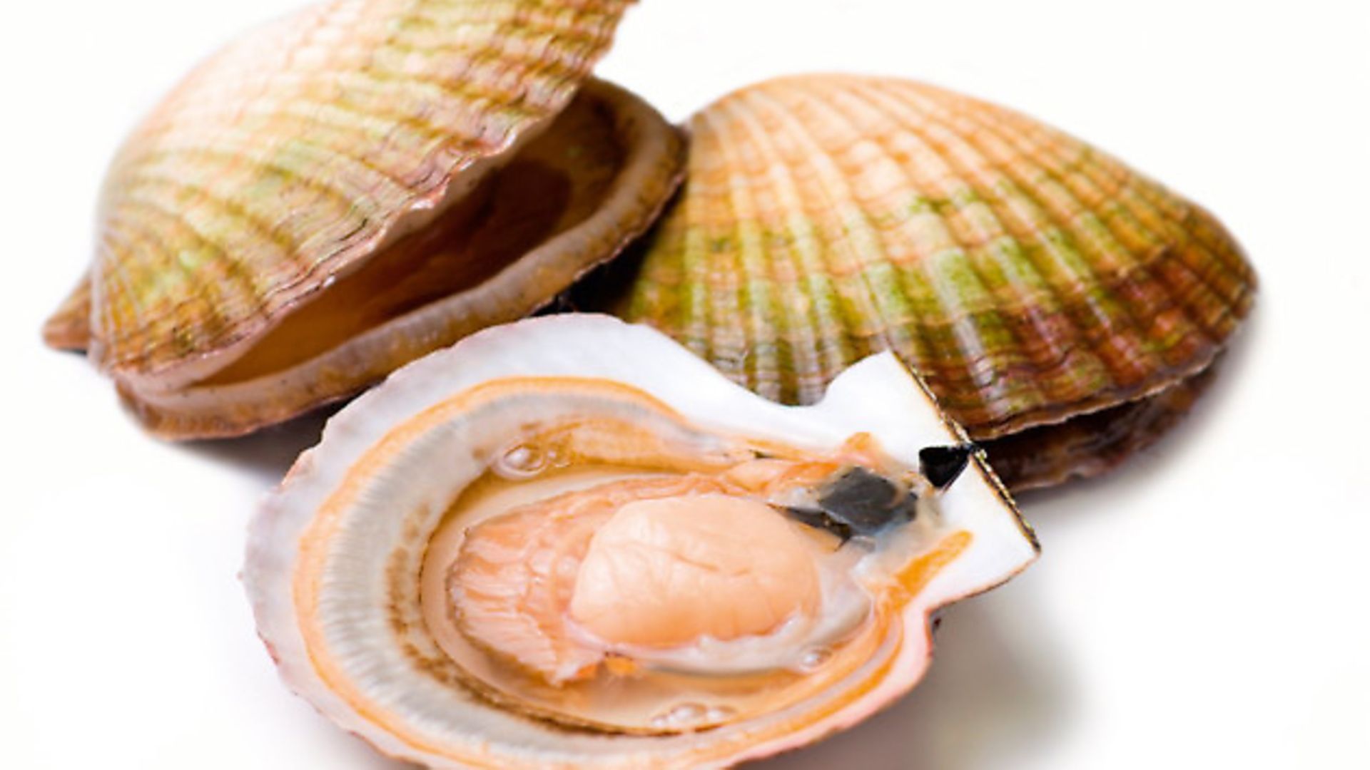 Recipe for pan-fried scallops - Complete France