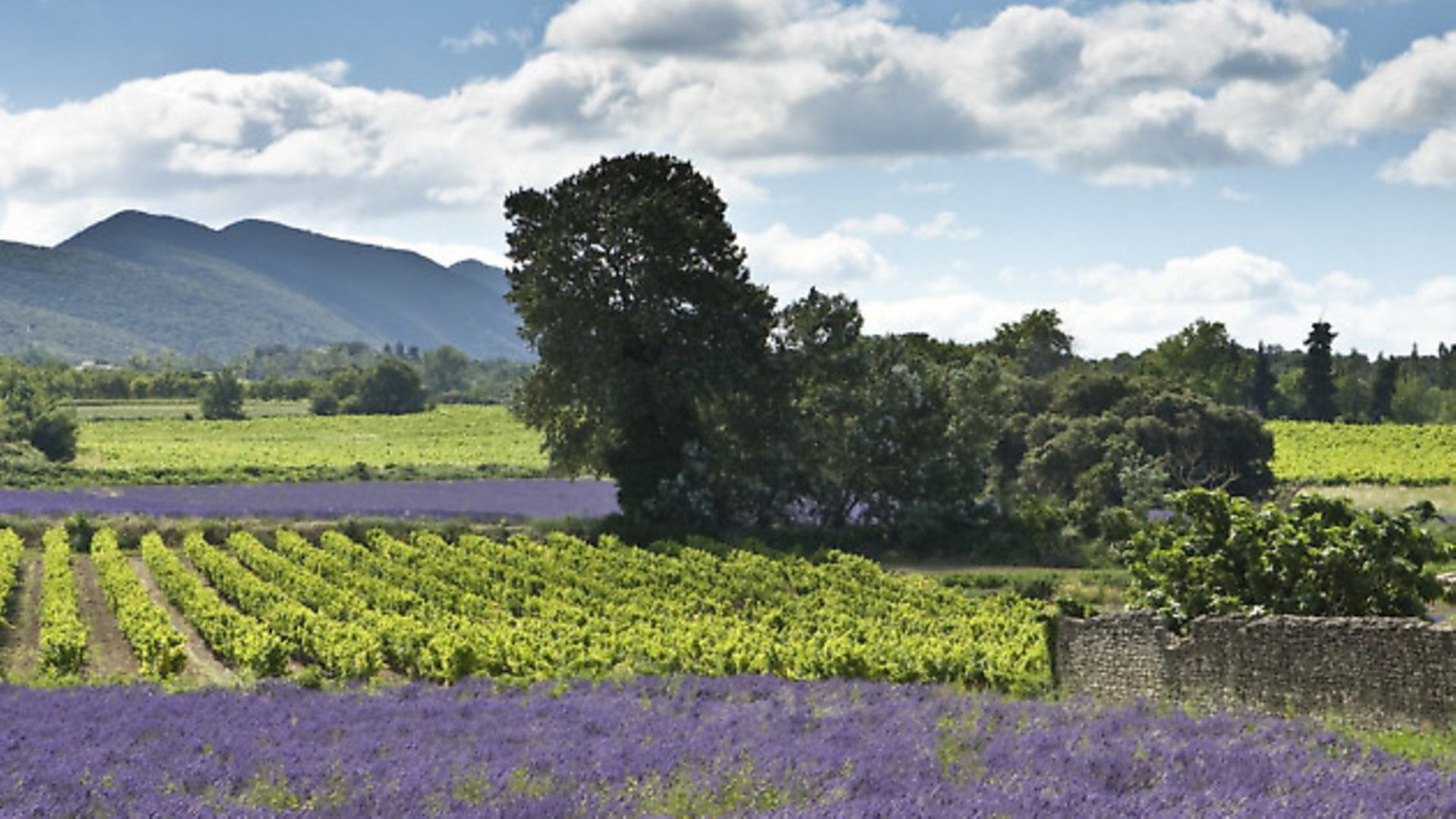 Exploring Drôme - Complete France