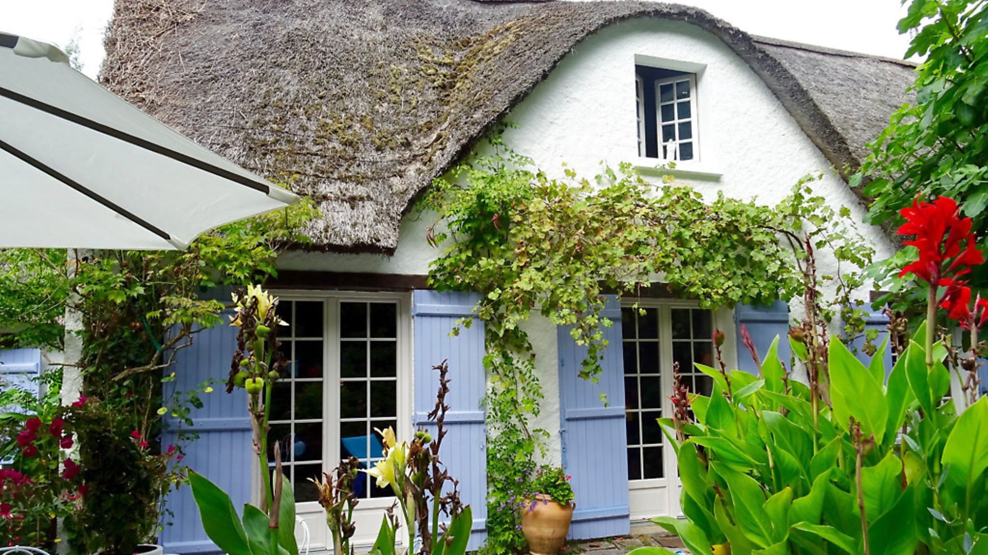 Dream French properties: December - Complete France