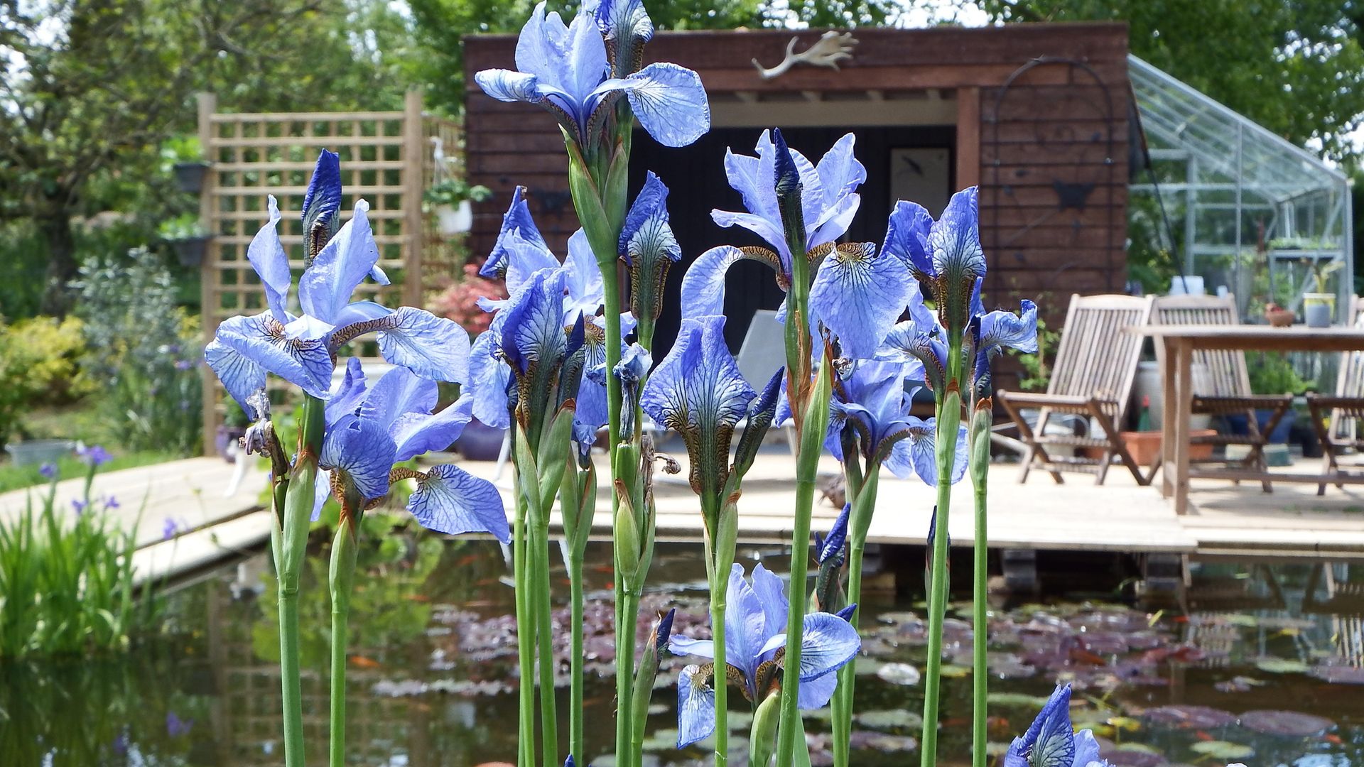Should you build a pond on your French property? - Complete France