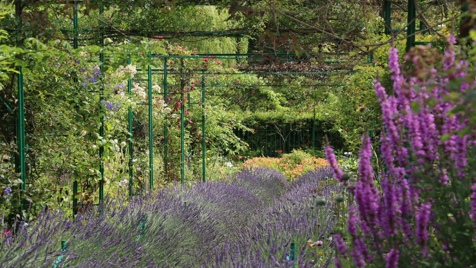 Seasonal Splendor: Nurturing a French Garden - Complete France